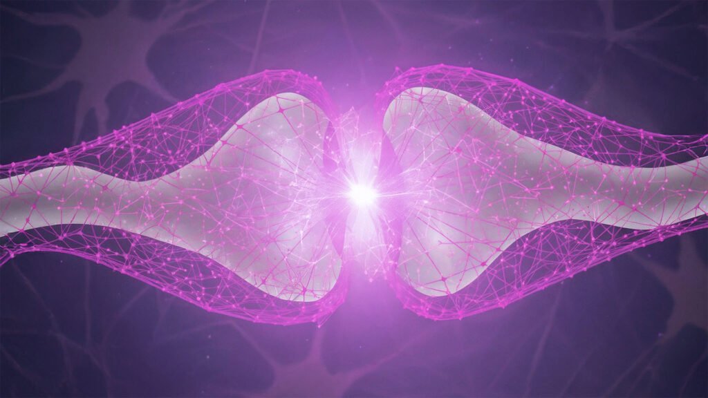 Menopause, Memory and Focus: What Really Changes?